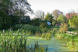 Velkommen til Skuldelev - Skuldelev-by